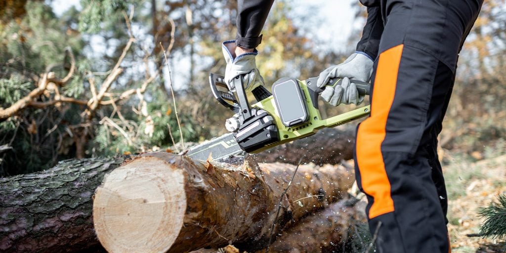 Salary Insights: How Much Do Loggers Make in Canada?